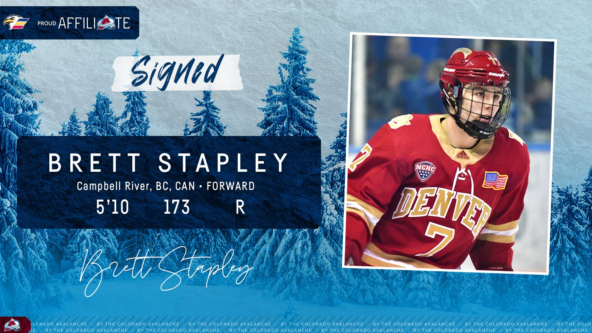 Colorado Eagles Sign Former DU Pioneer Brett Stapley | Colorado Eagles