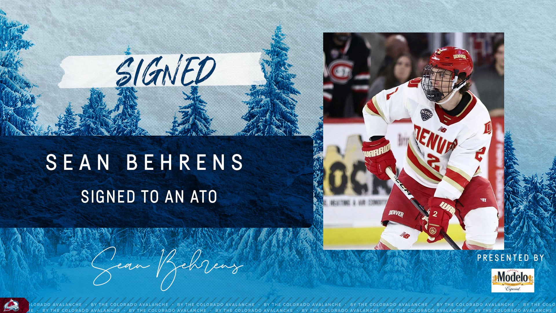 Avalanche Signs Behrens | Colorado Eagles