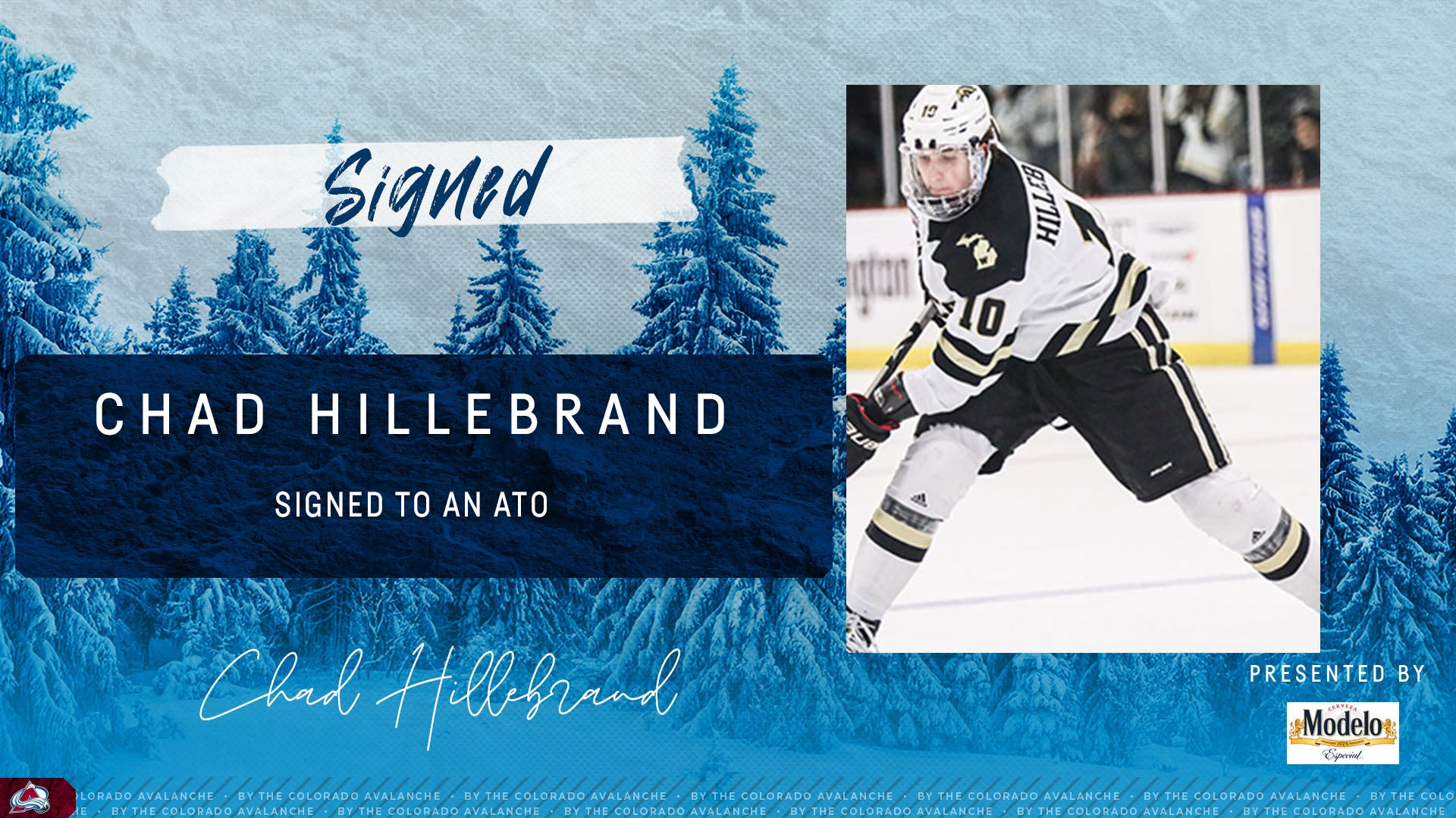 Colorado Eagles Add Forward Chad Hillebrand | Colorado Eagles