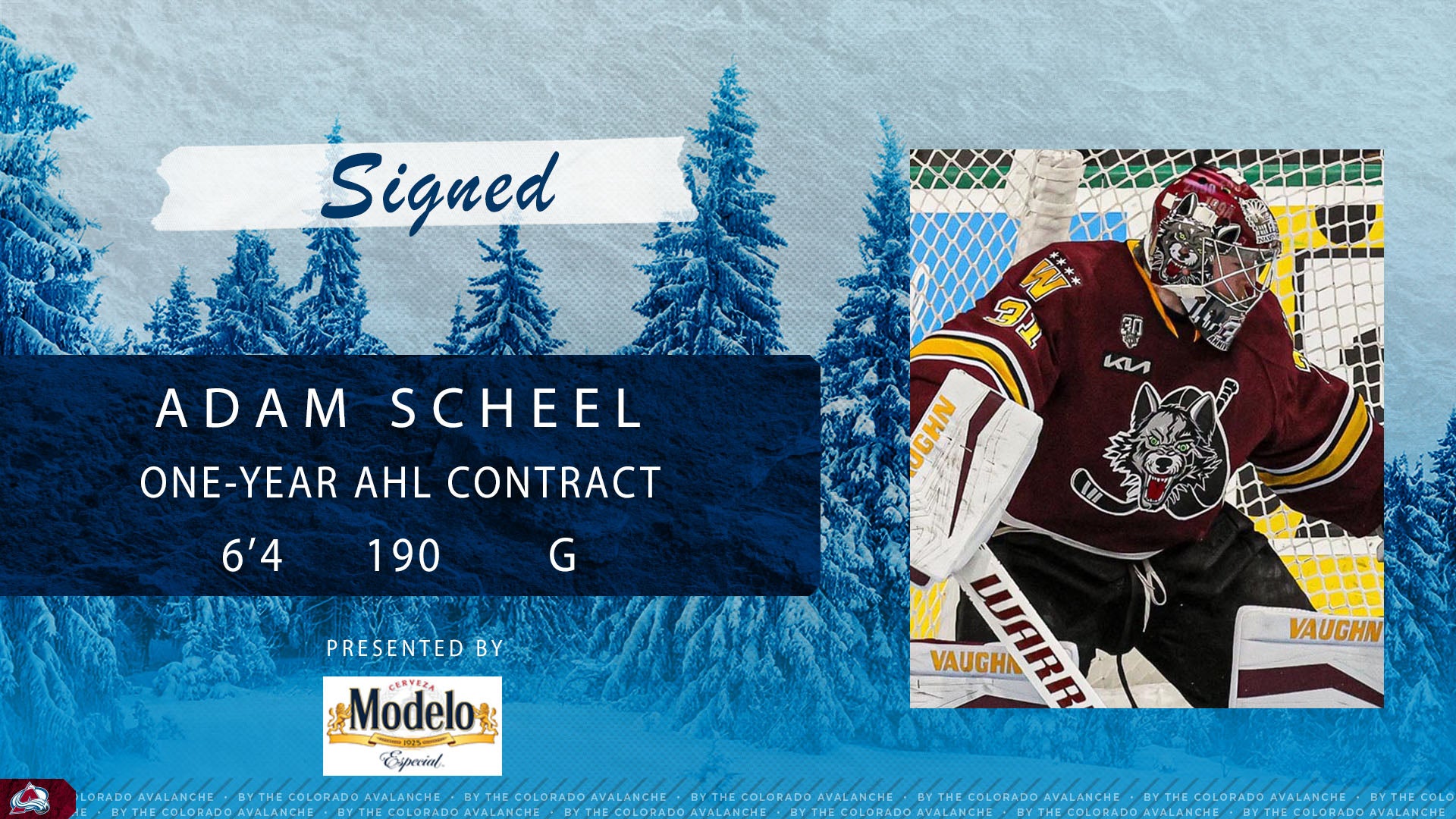 Goaltender Adam Scheel Inks AHL Contract with Eagles | Colorado Eagles